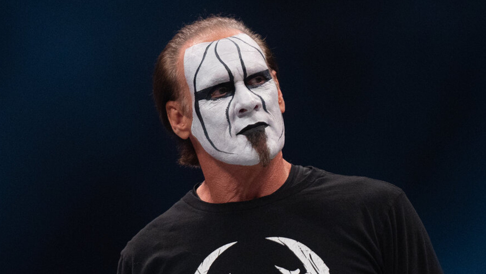 Wrestler Sting