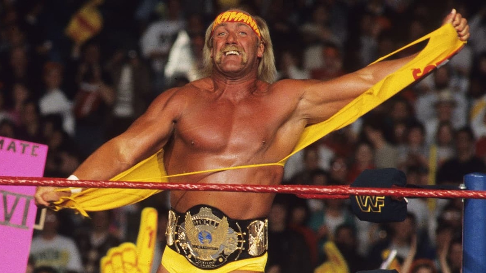 86% Of Fans Say Hulk Hogan Doesn't Need To Wrestle Ever Again - WINC Survey