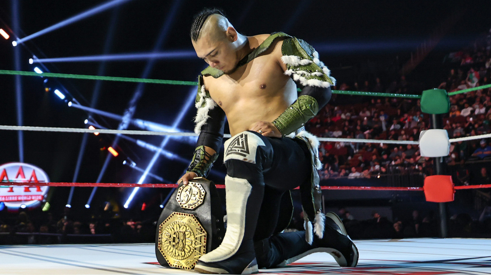 AAA-WWE Worlds Collide II: Full & Final Card