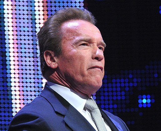 Arnold Schwarzenegger Face