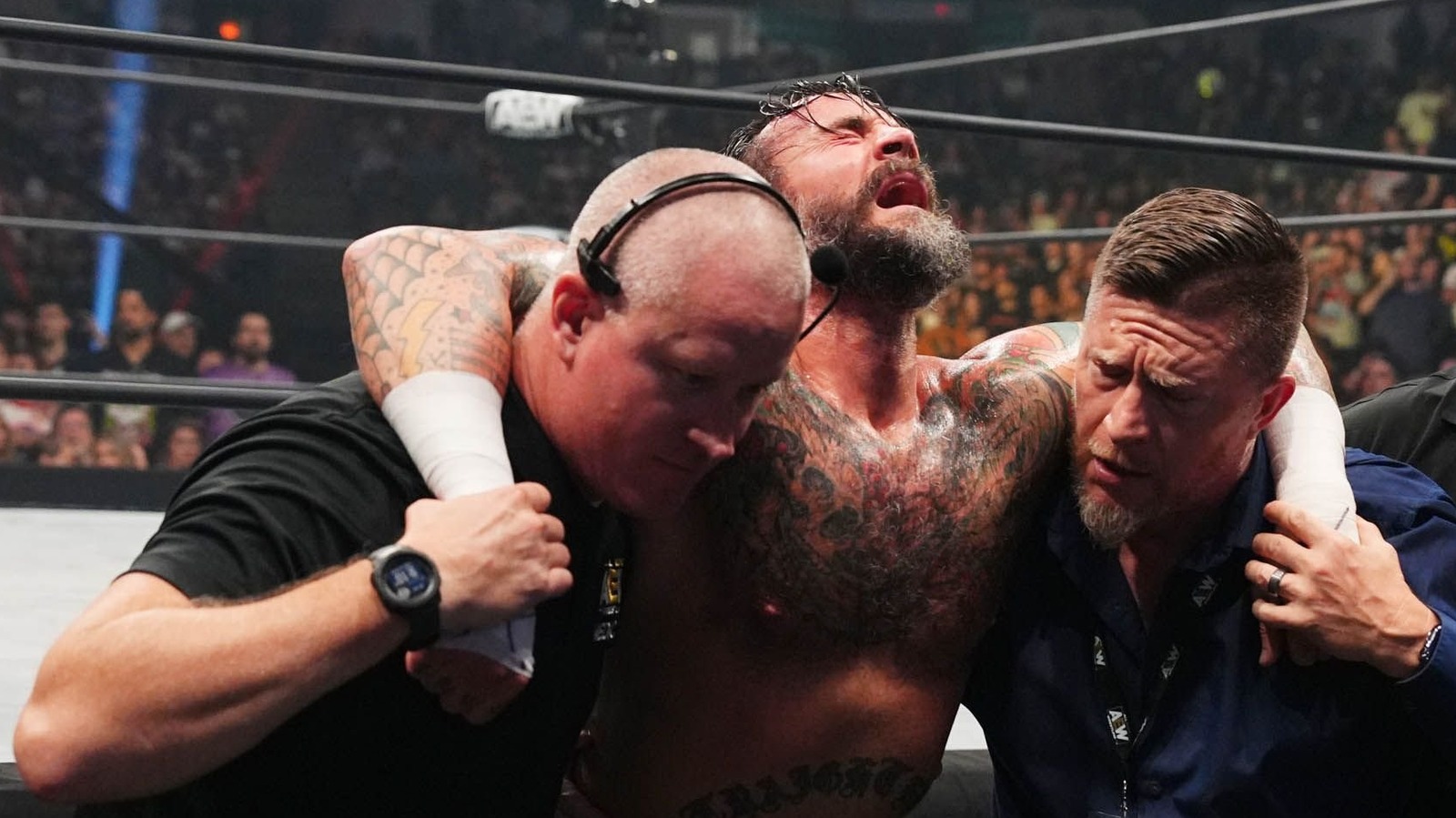 AEW Star Seemingly Mocks CM Punk's Roundhouse Kick On Dynamite