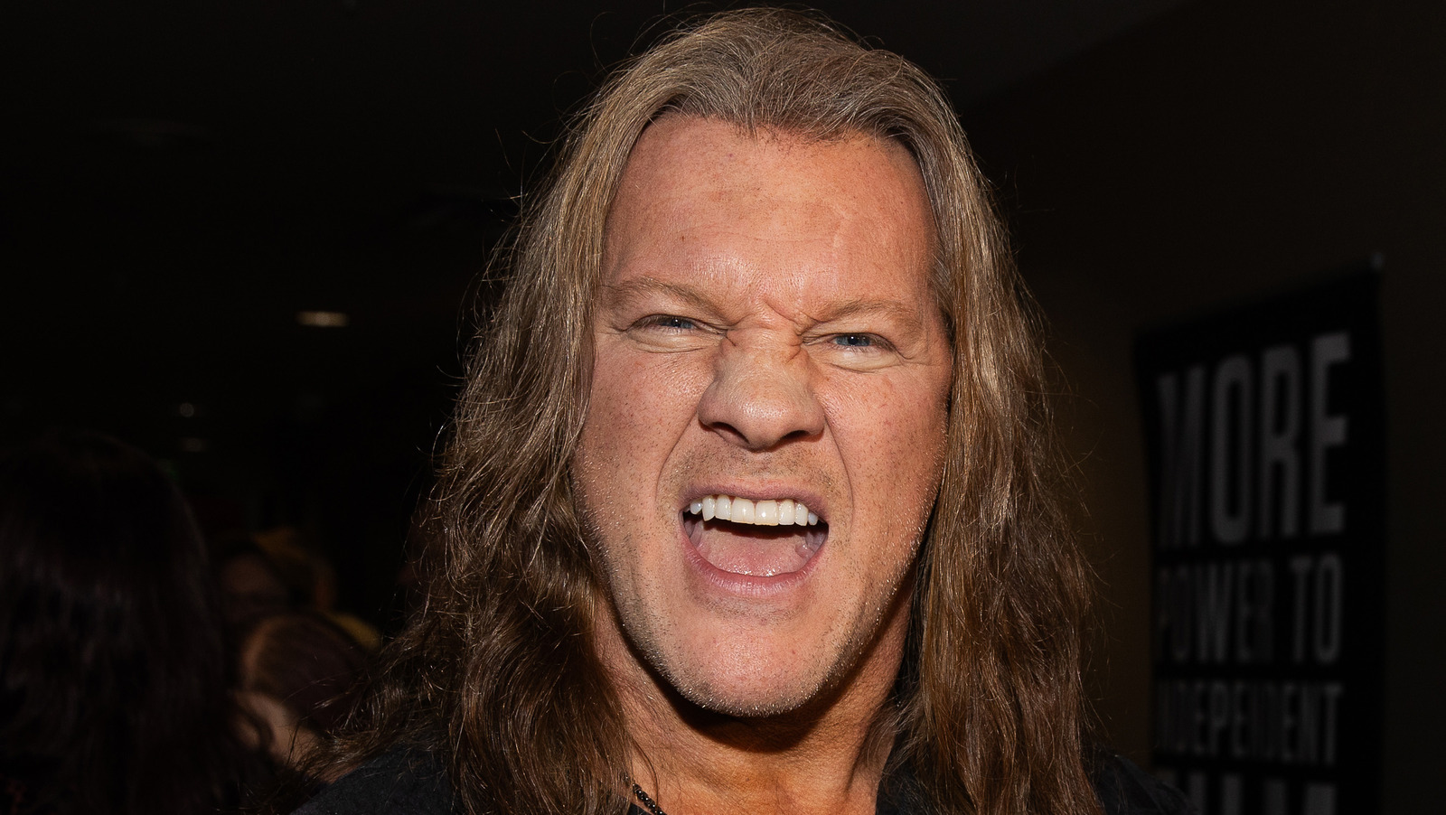 AEW's Chris Jericho Appears Onstage At Pantera Concert In Tampa, Sings ...