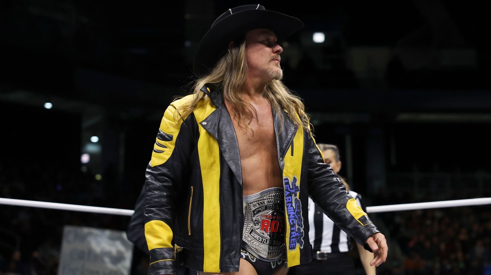 AEW's Chris Jericho To Defend ROH World Title Against Former WWE Star ...