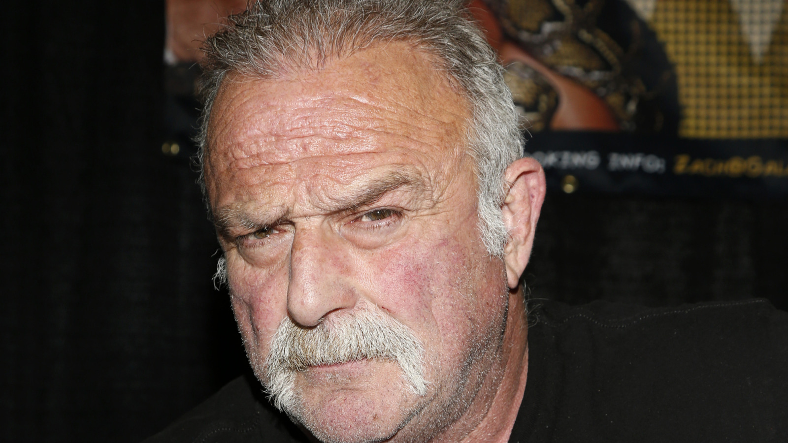 AEW's Jake Roberts Berates Modern Wrestlers For Not Protecting Finishers