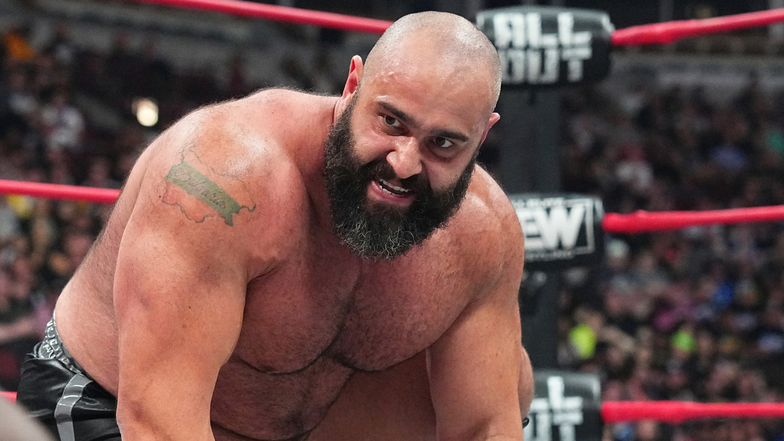 AEW's Miro Shows Off Care Package For Wife CJ Perry Following ...