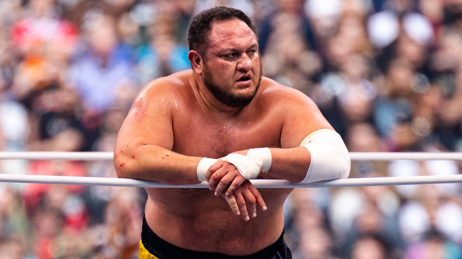 AEW's Samoa Joe Opens Up About Being On The 'Ground Floor' Of ROH & TNA