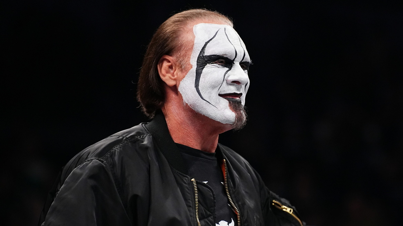 Arn Anderson Explains Why AEW Star Sting Has Remained Relevant For So ...