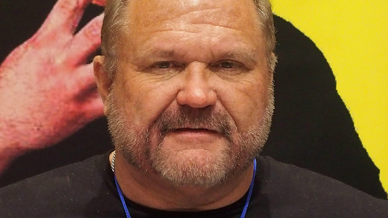 Arn Anderson Explains Why There Are Too Many Championships