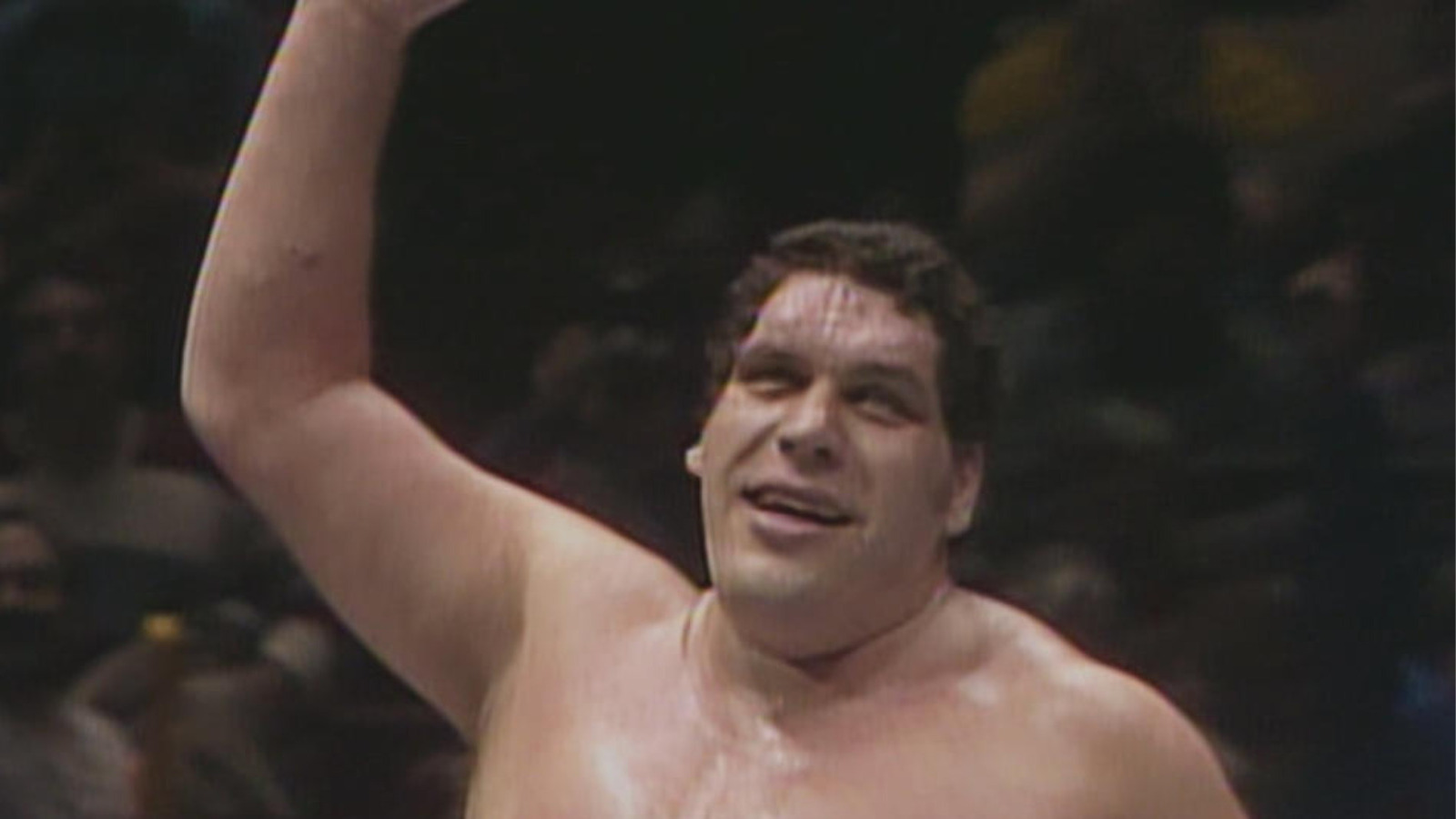 Andre The Giant Wallpaper