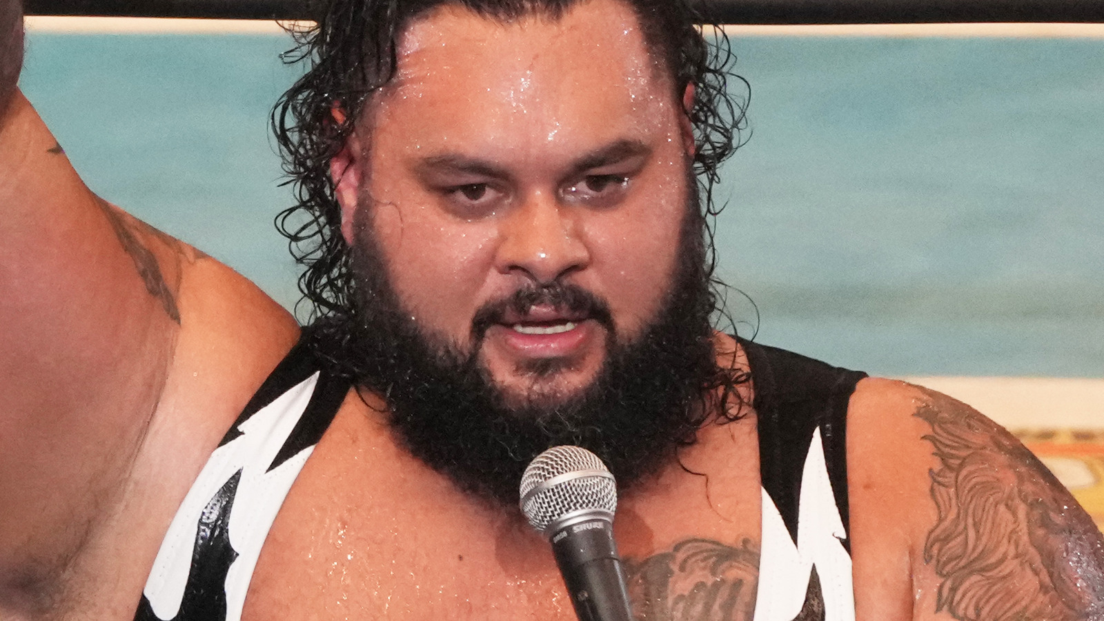 Backstage News On Bronson Reed's WWE Return