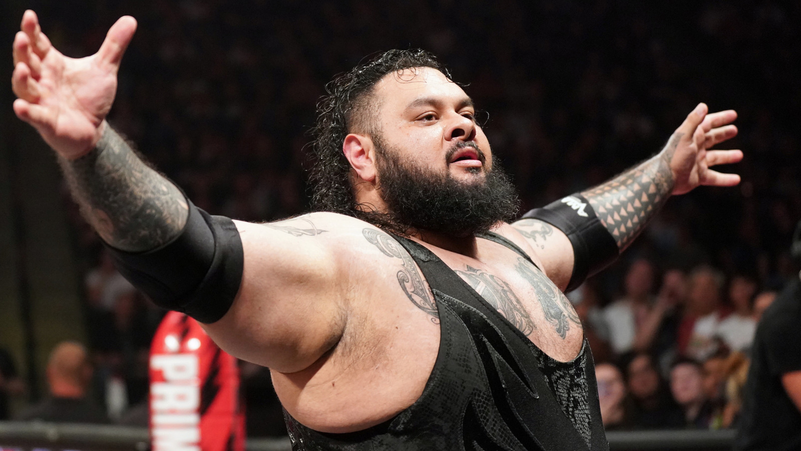 Backstage Update On Injury Status Of WWE's Bronson Reed After WarGames ...