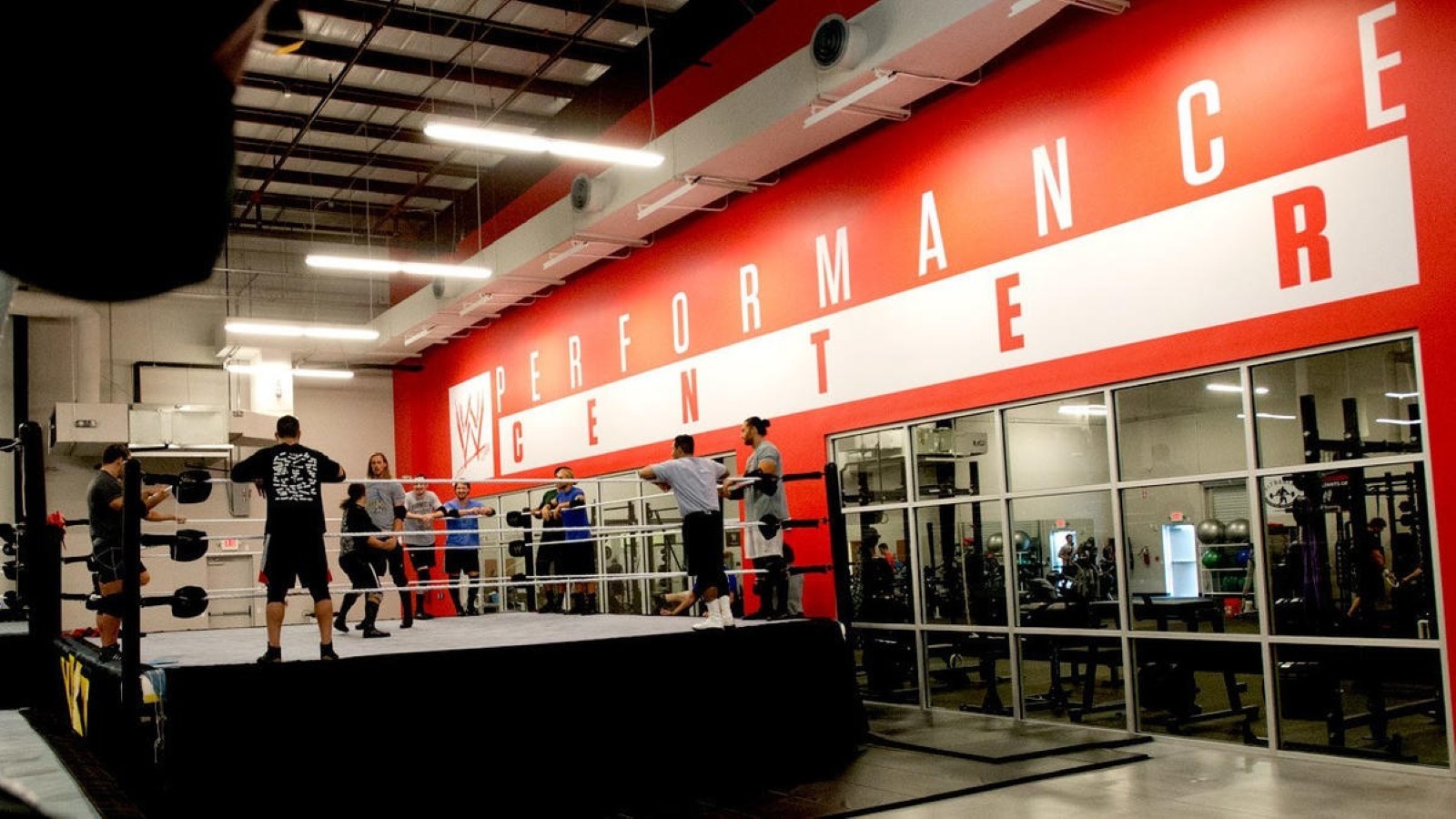 Backstage Update On Recent WWE Performance Center Signees