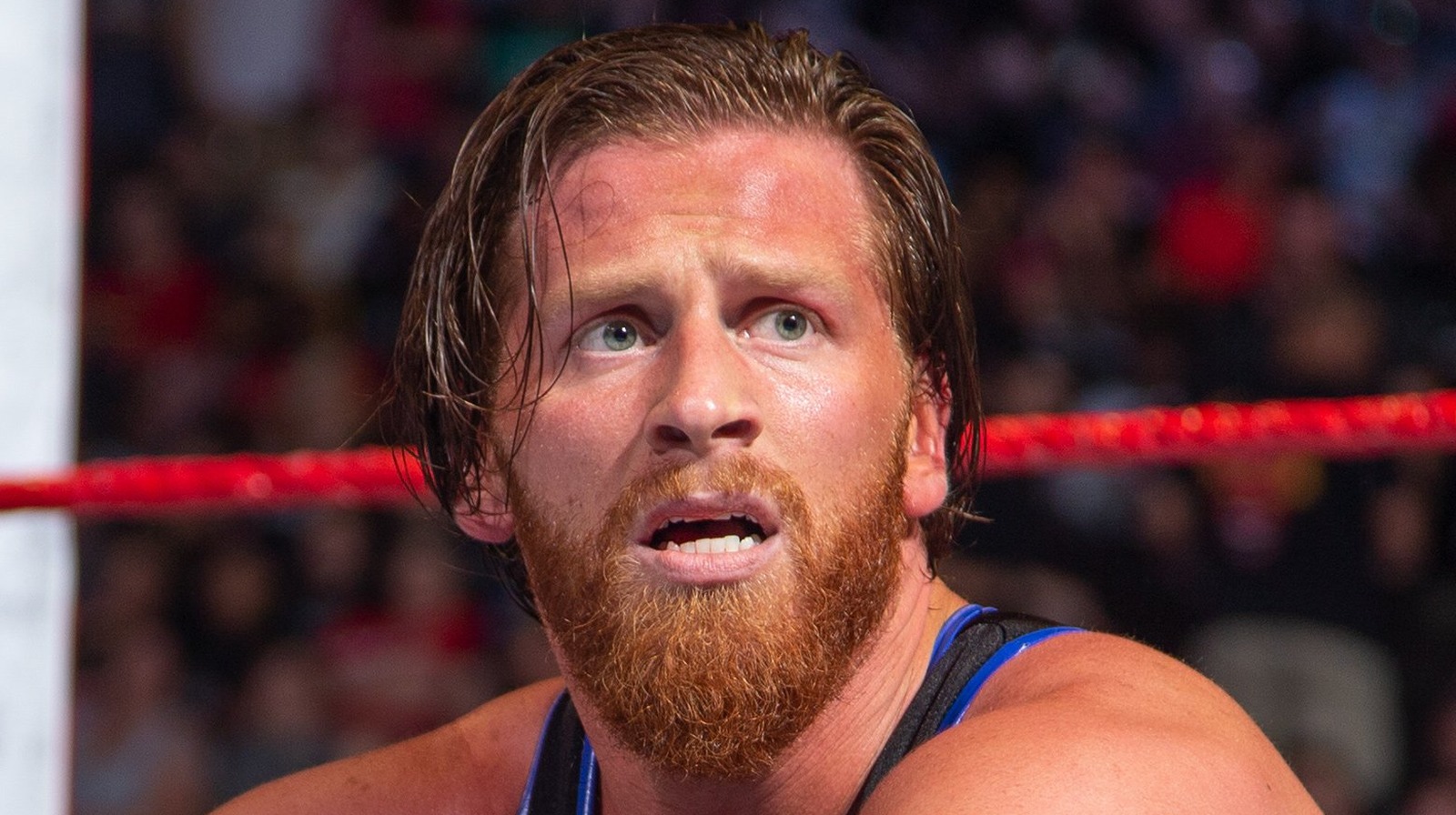 Brian Myers Dubs AEW Star 'Proven Commodity' Citing Merch Sales