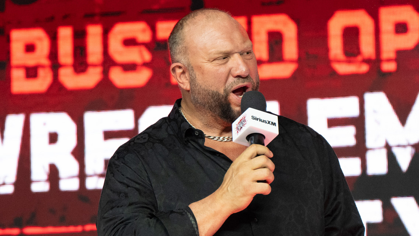 Bully Ray Addresses The 'Shock & Awe' From WWE Bad Blood 2024