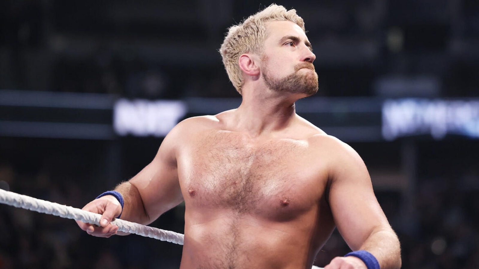 Bully Ray & Tommy Dreamer Debate TNA's Handling Of Breakout Star Joe Hendry Bully Ray & Tommy Dreamer Debate TNA's Handling Of Breakout Star Joe Hendry