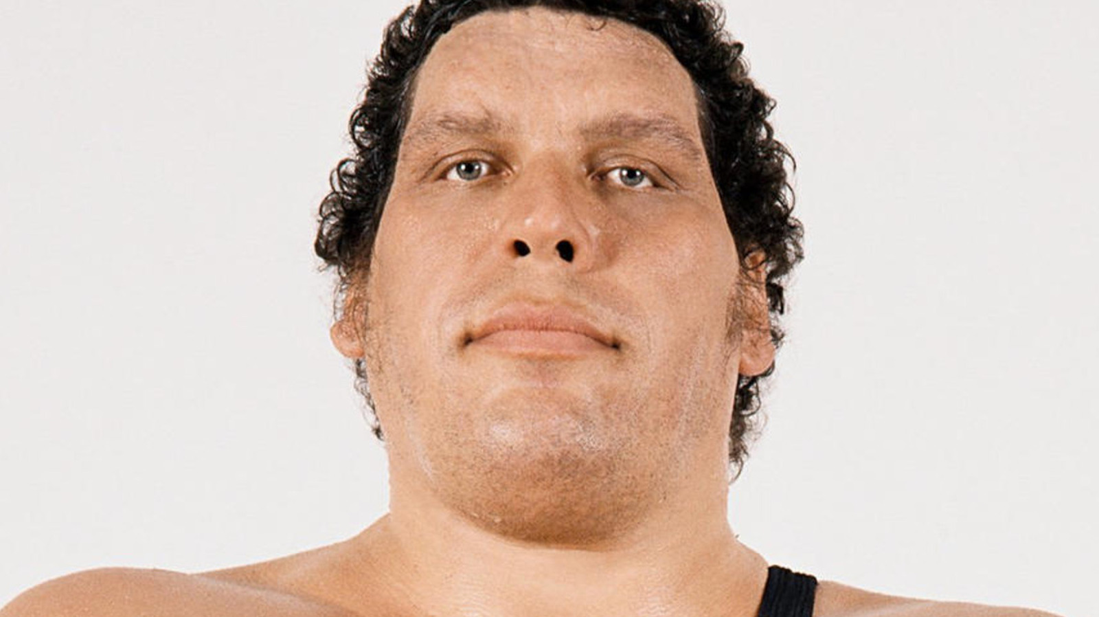 Bushwhacker Luke Reflects On His Relationship With Andre The Giant ...