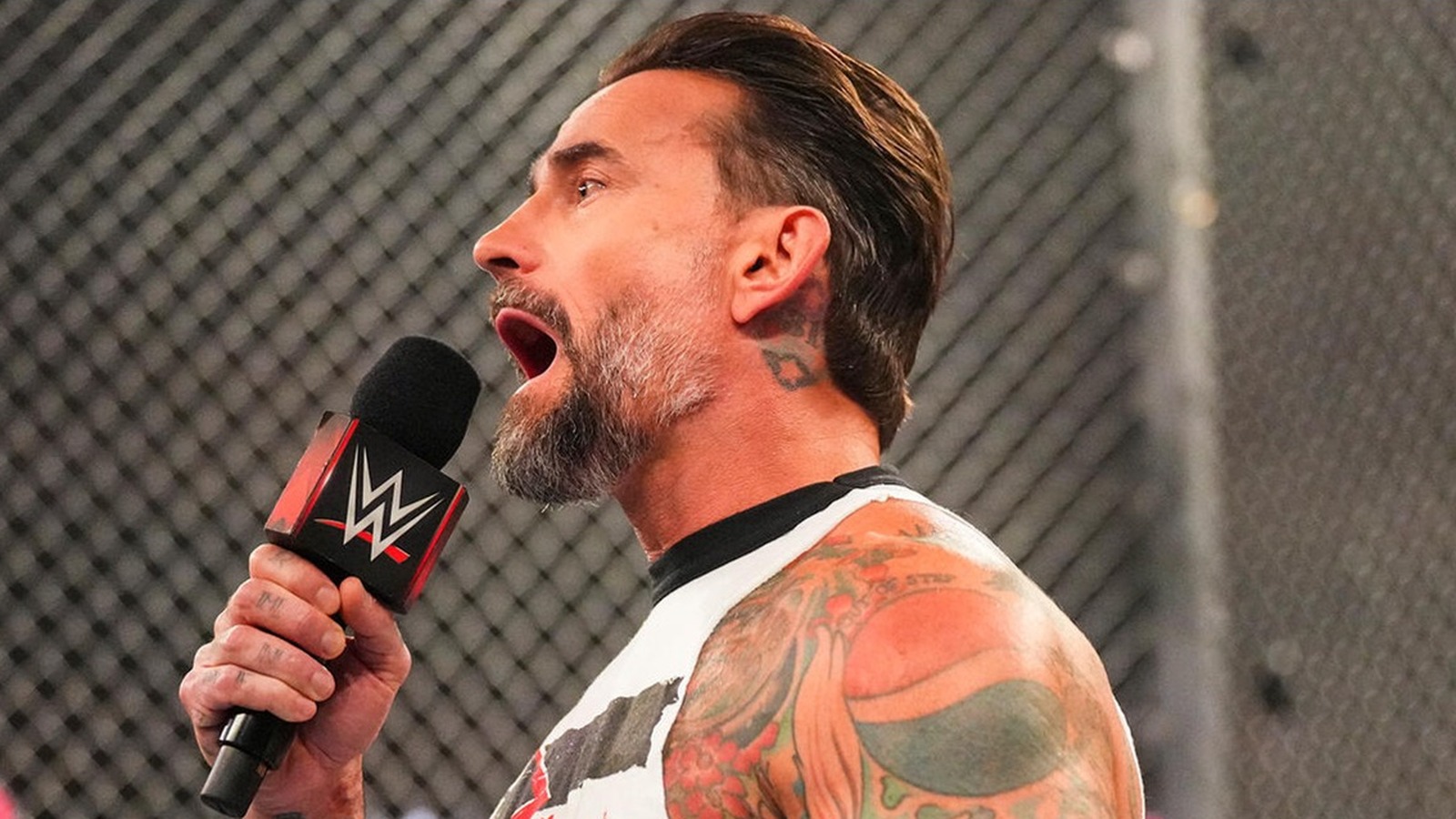 CM Punk Intends To Restore 'Diabolical' Side To Hell In A Cell At WWE ...