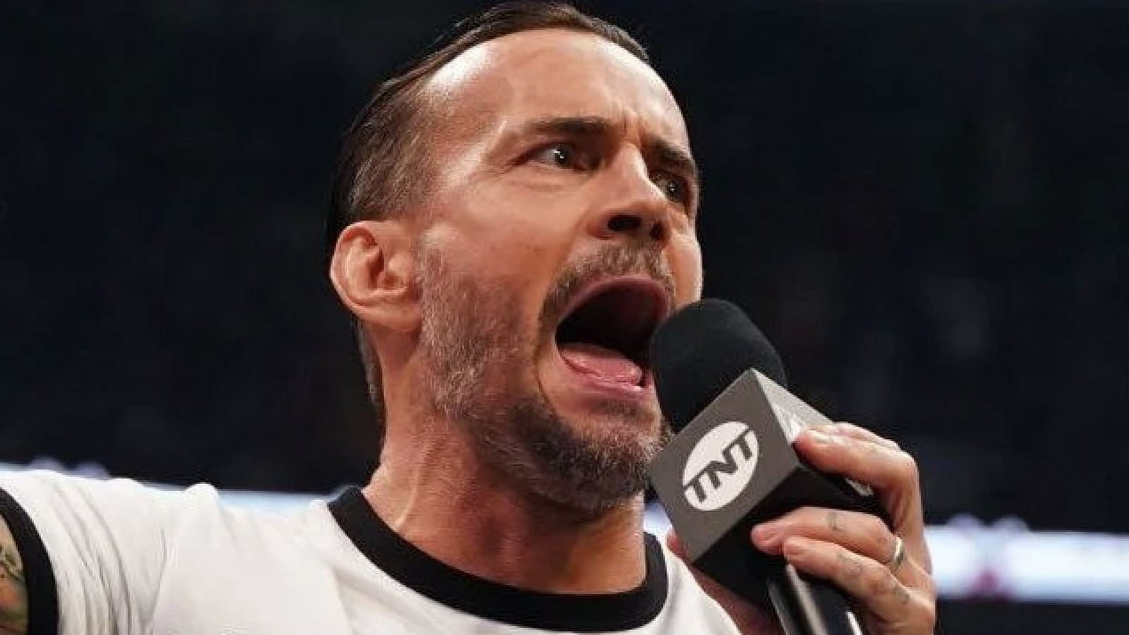 CM Punk To Fan On Instagram: 'I'll Wrestle Again Just To Upset You'