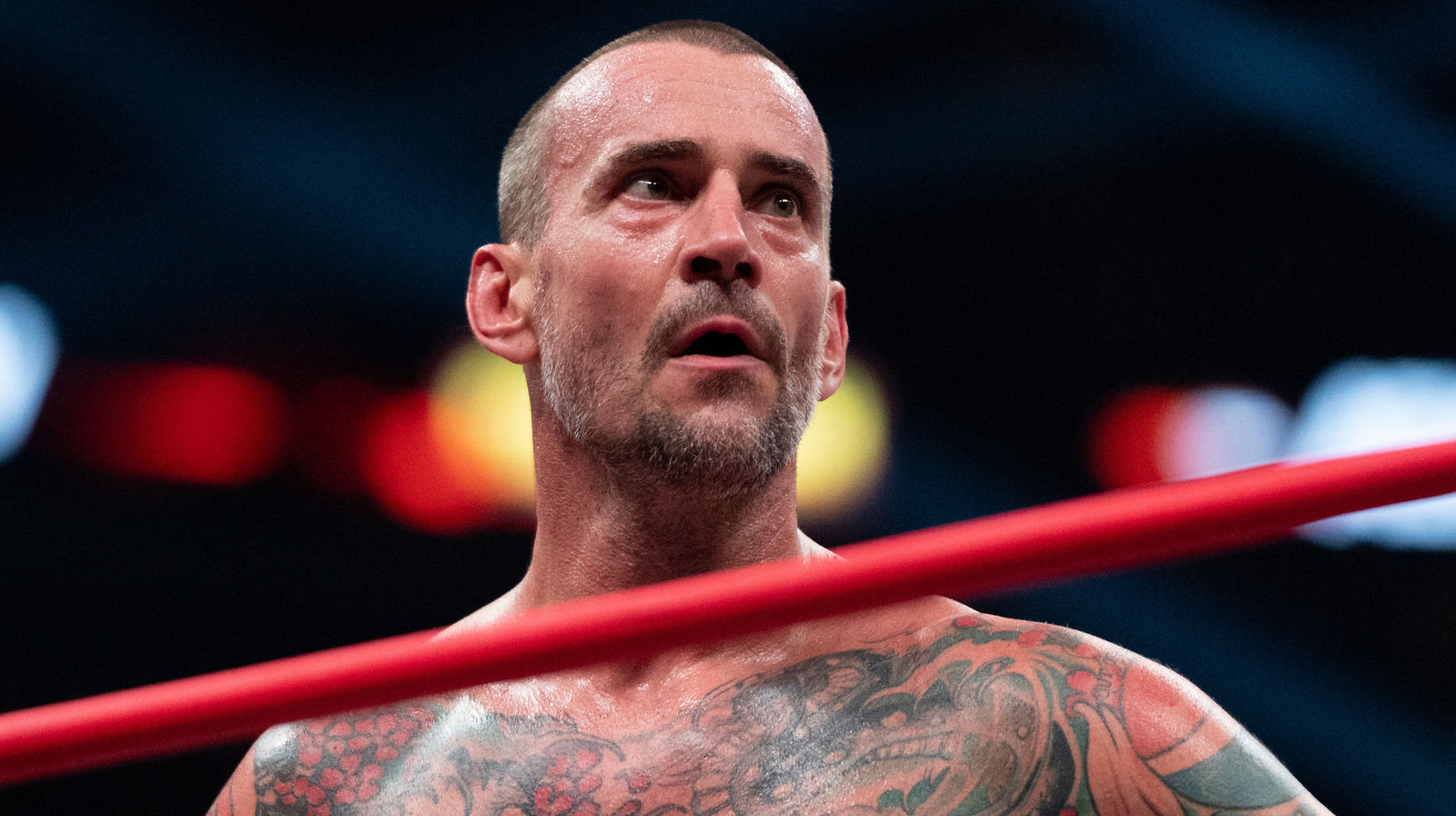 CM Punk To Take On Satoshi Kojima In Owen Hart Tournament Match At ...