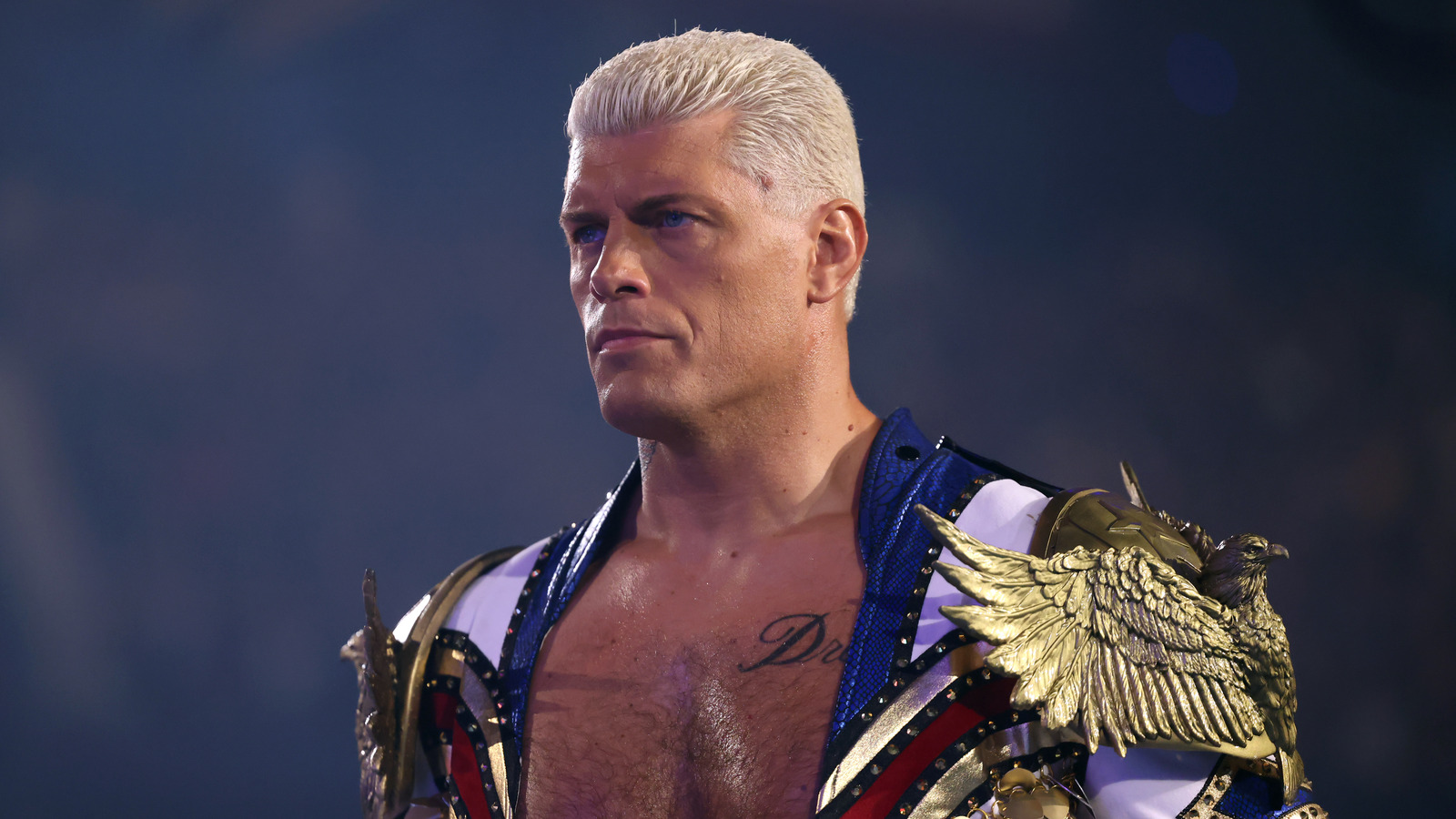 Cody Rhodes On Whose Idea It Was Having Wife Brandi In WWE WrestleMania ...