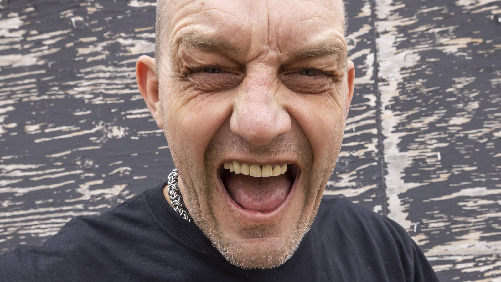 Darren McCarty Compares The Heat Of WWE's Dominik Mysterio And AEW's ...