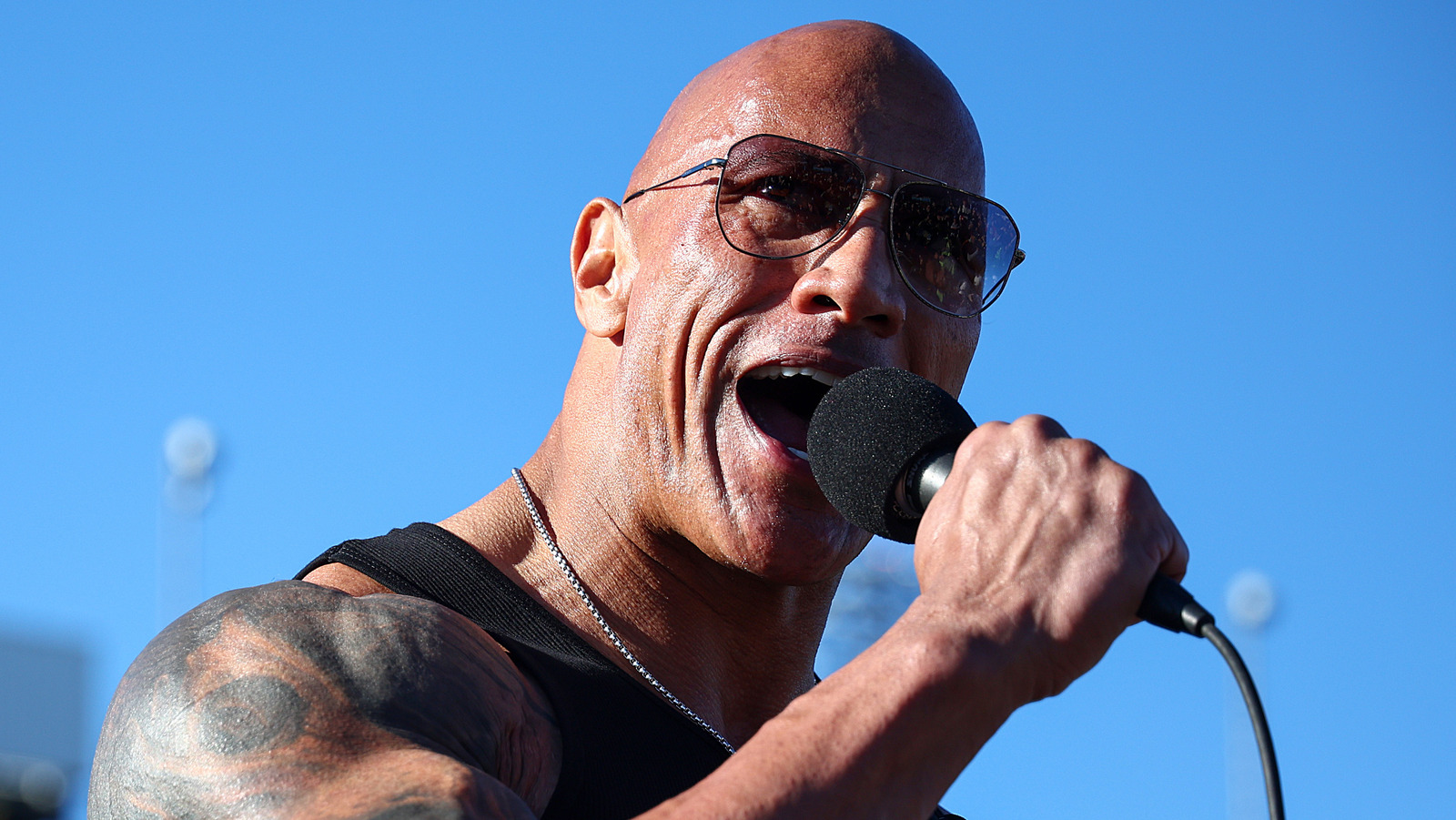 Dwayne Johnson Neef Wwe