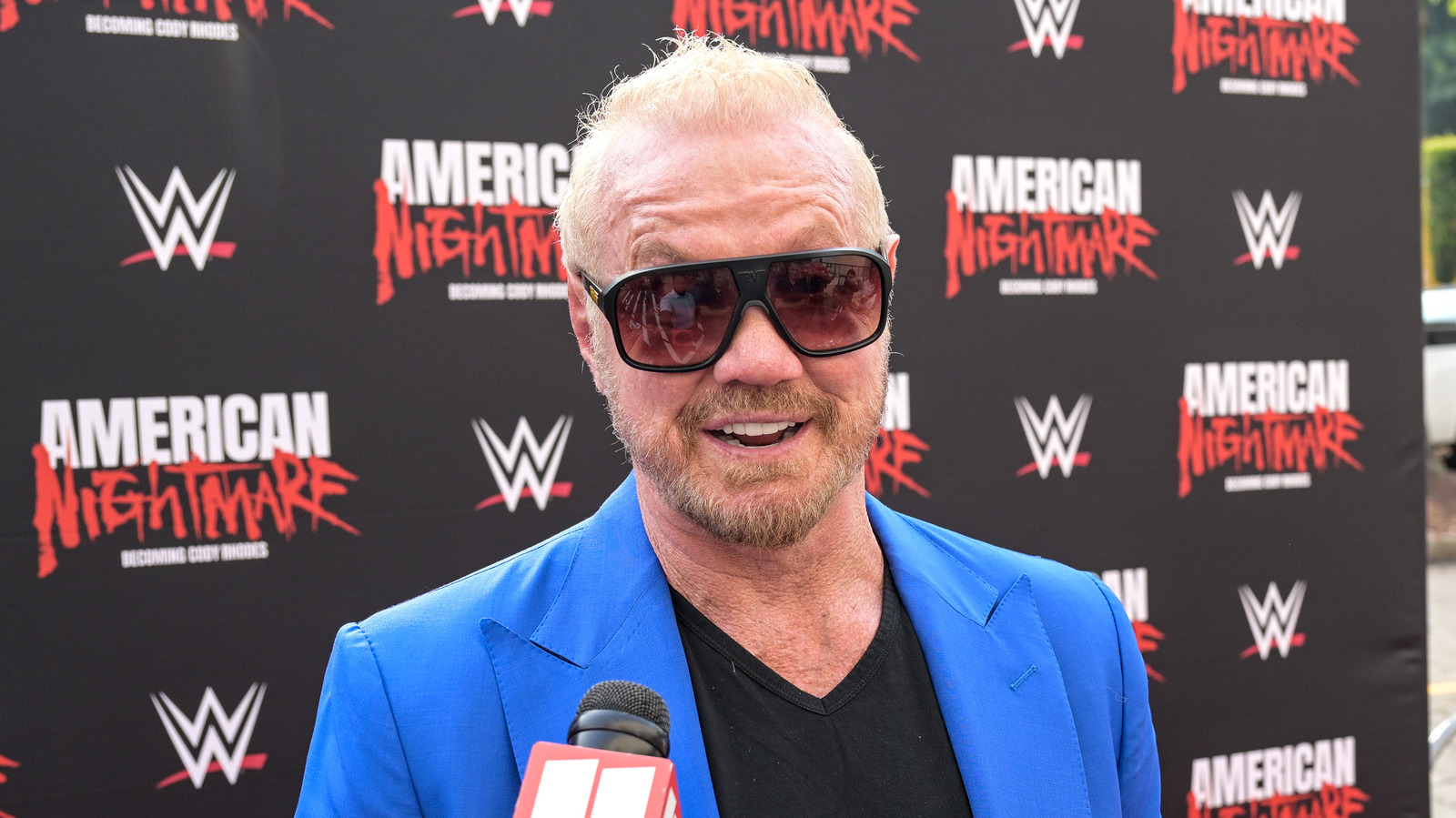 Diamond Dallas Page Calls This WWE Star The 'Most Underrated Megastar ...