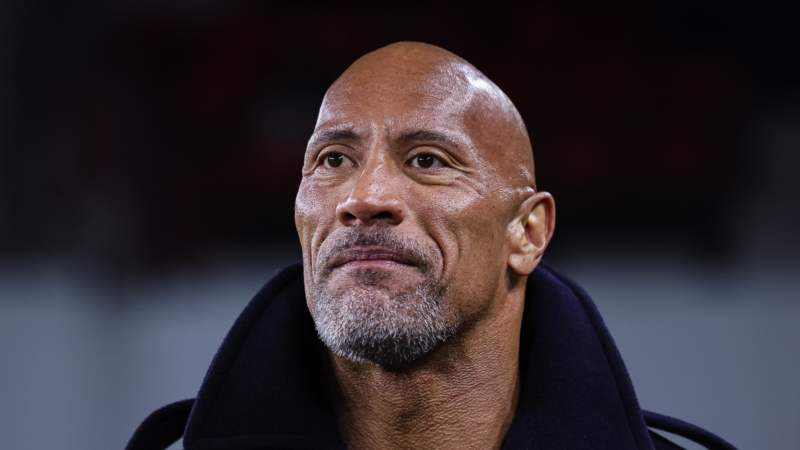 Dwayne Johnson Surprises UFC Fighter Themba Gorimbo Who Had $7 In His ...