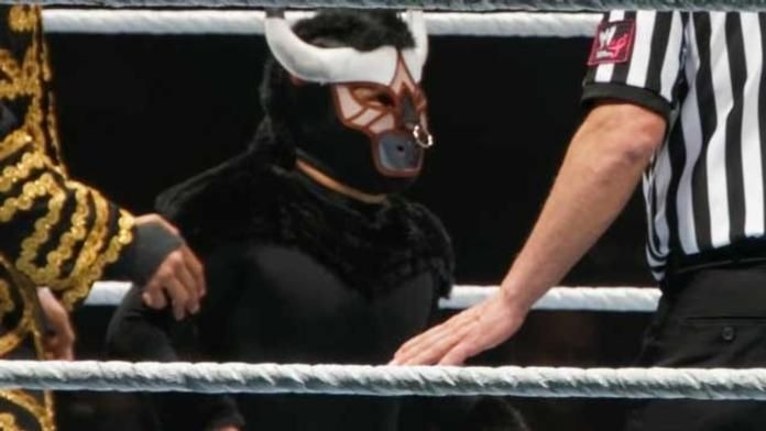 El Torito News, Stats And Video - Wrestling Inc.