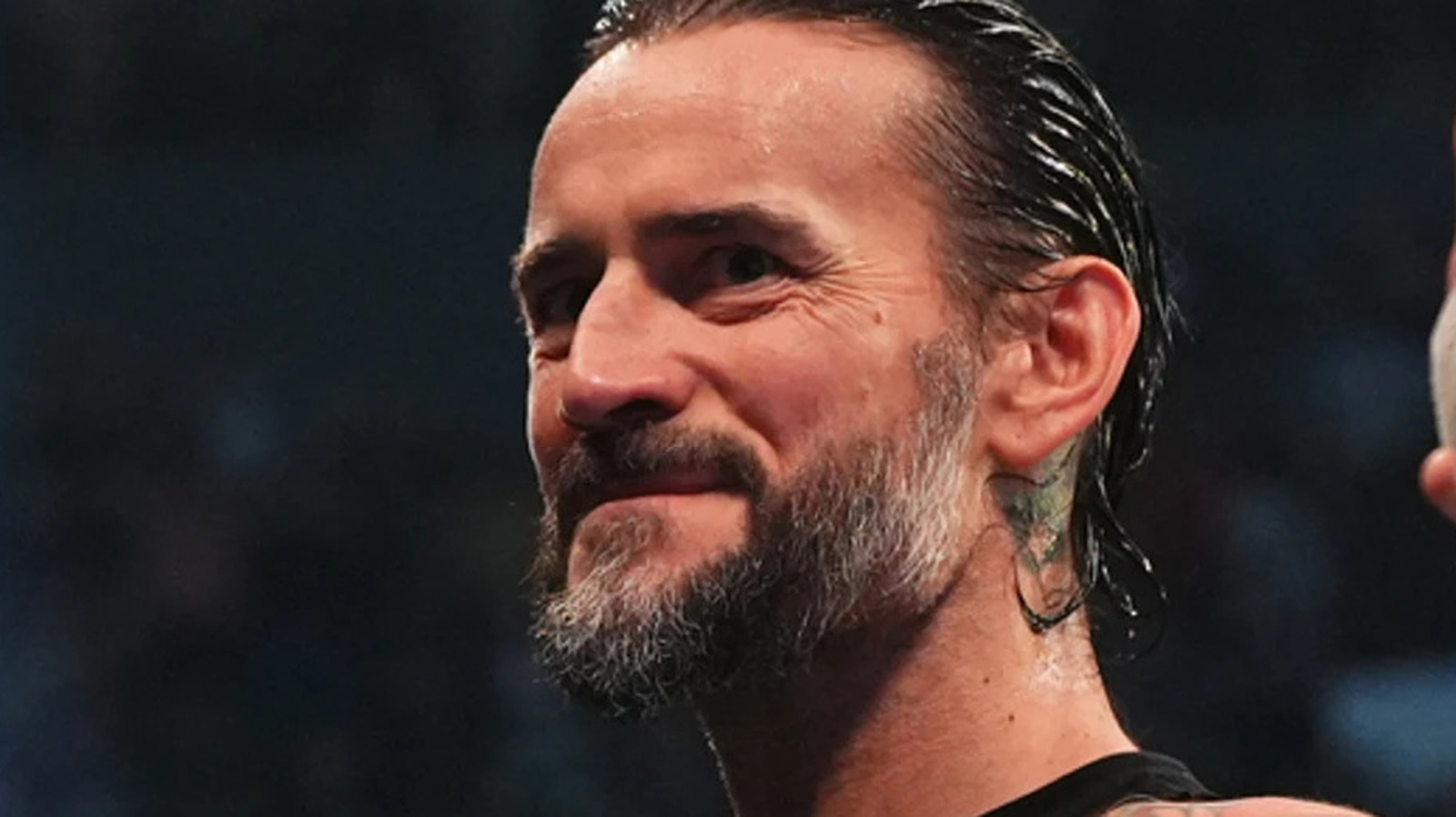 Eric Bischoff Comments On The Possibility Of CM Punk Wrestling The Elite In AEW - Wrestling Inc ...