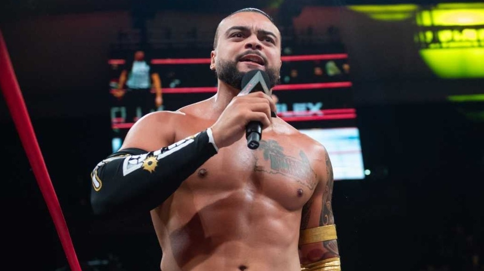 Former TNA World Champ Mike Santana: Partnership With WWE NXT Has Been ...