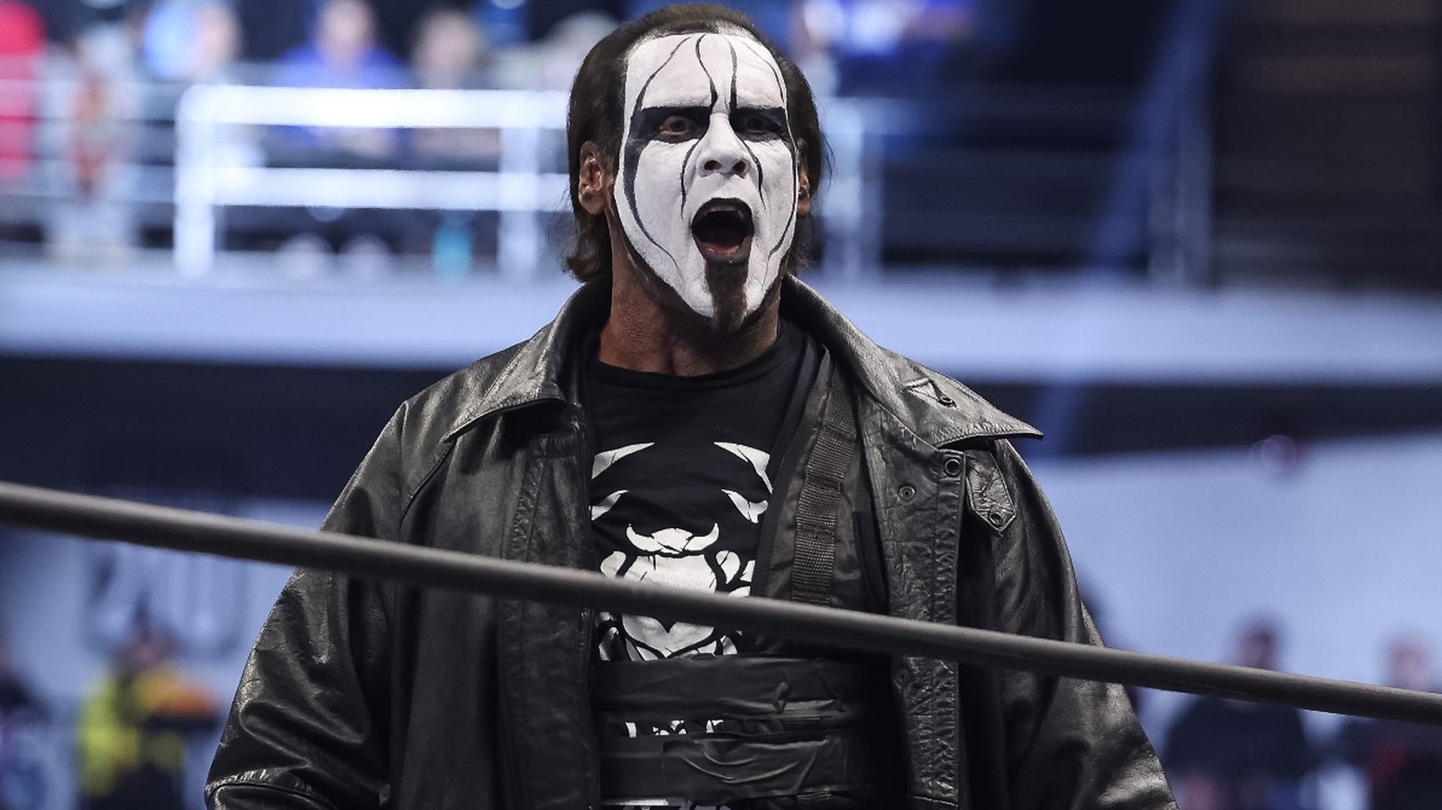 Former WCW Boss Eric Bischoff Comments On Sting Descending From The Rafters In AEW