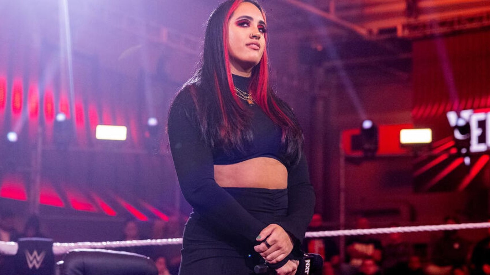 Gauntlet Eliminator Set For Next Week's WWE NXT