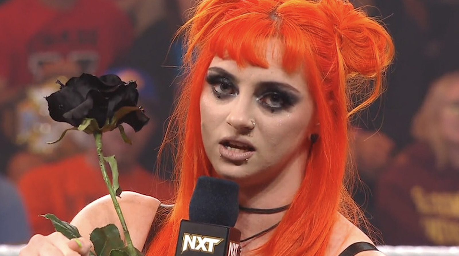 Gigi Dolin And Jacy Jayne To Clash In Weaponized Steel Cage On Next ...