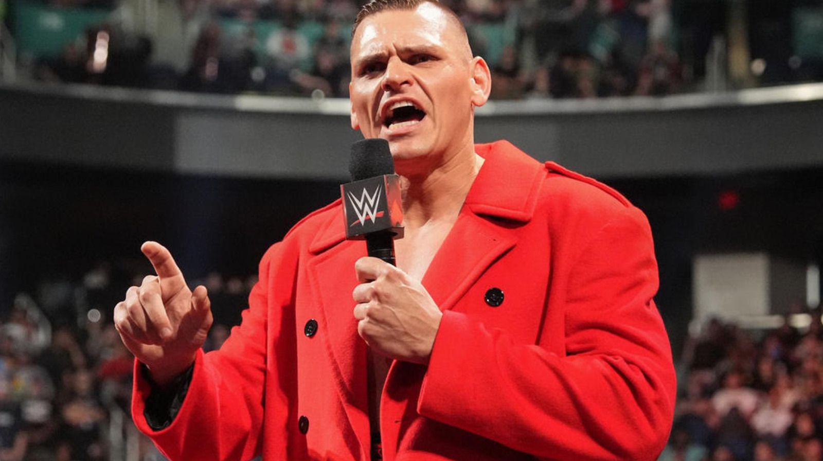 GUNTHER Says On-Screen Interaction With WWE HOFer Honky Tonk Man Wouldn ... GUNTHER Says On-Screen Interaction With WWE HOFer Honky Tonk Man Wouldn ...