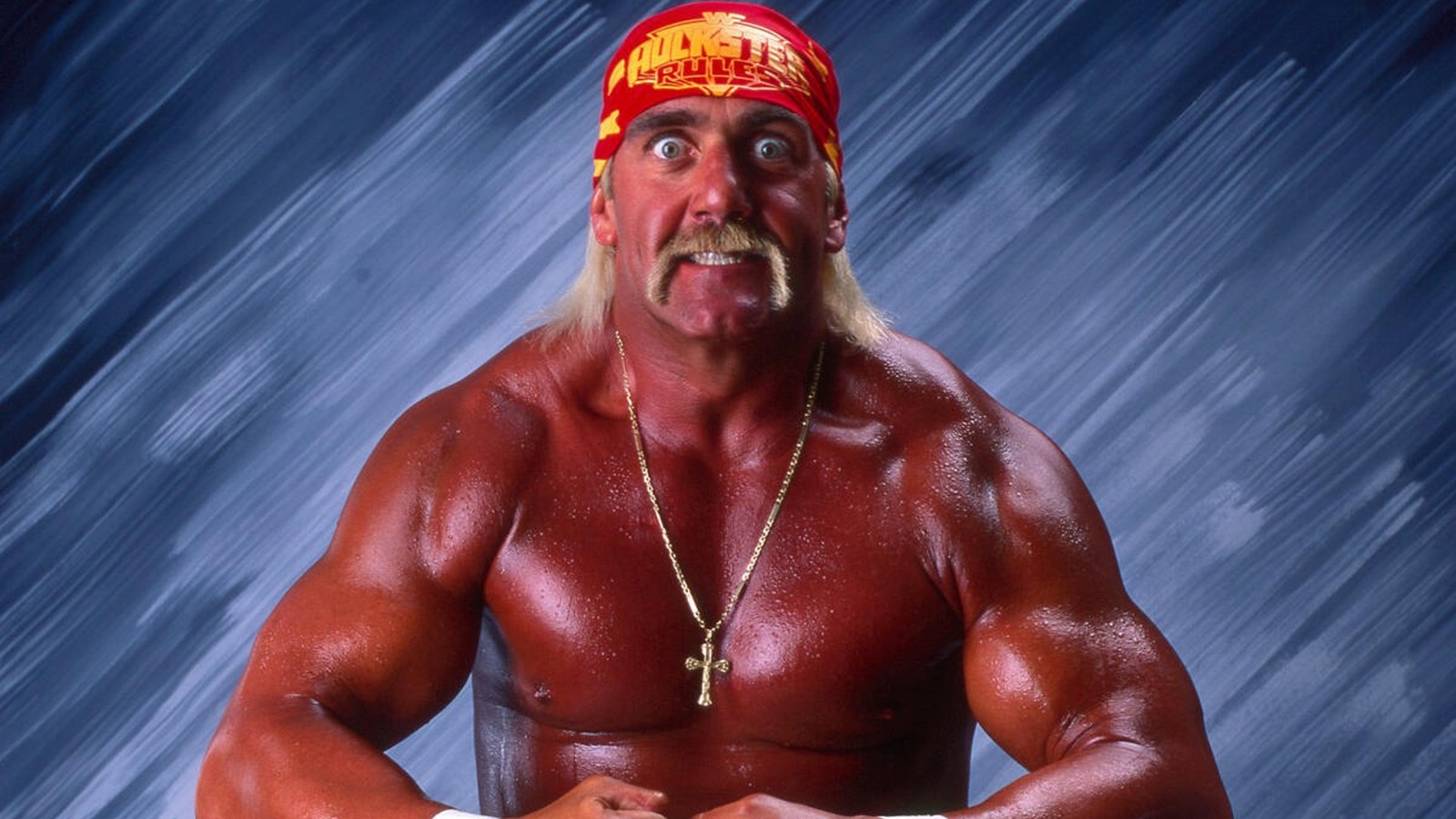 Hulk Hogan Looks Back On Invading Territories With WWE's Vince McMahon
