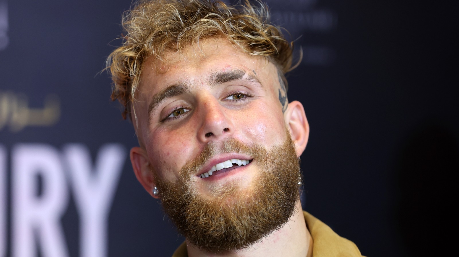 Jake Paul Cautiously Open To Joining Brother Logan In WWE Jake Paul Cautiously Open To Joining Brother Logan In WWE