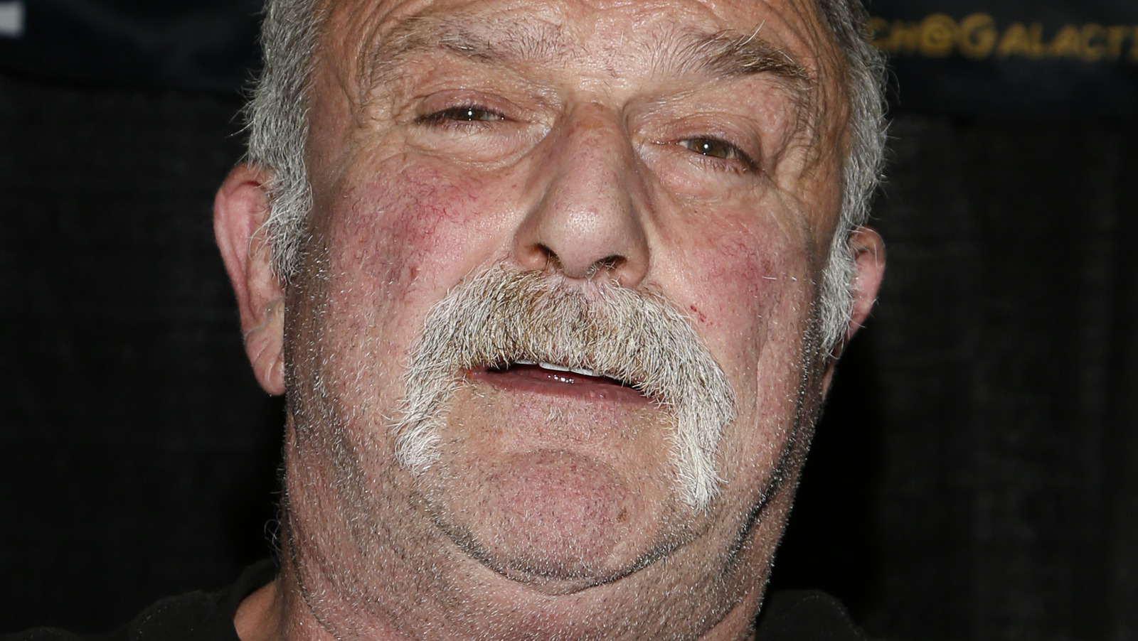 Jake Roberts Calls AEW Tag Team Star 'Underrated'