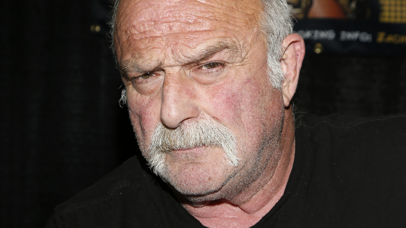 Jake Roberts Describes The Honor Of Being Inducted Into WWE Hall Of ...