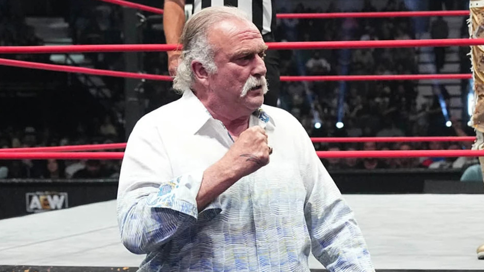 Jake Roberts Recalls The Injury That Made His Voice Sound Raspy