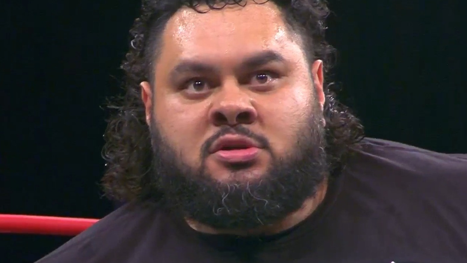Jonah Teases Potential AEW Appearance Jonah Teases Potential AEW Appearance