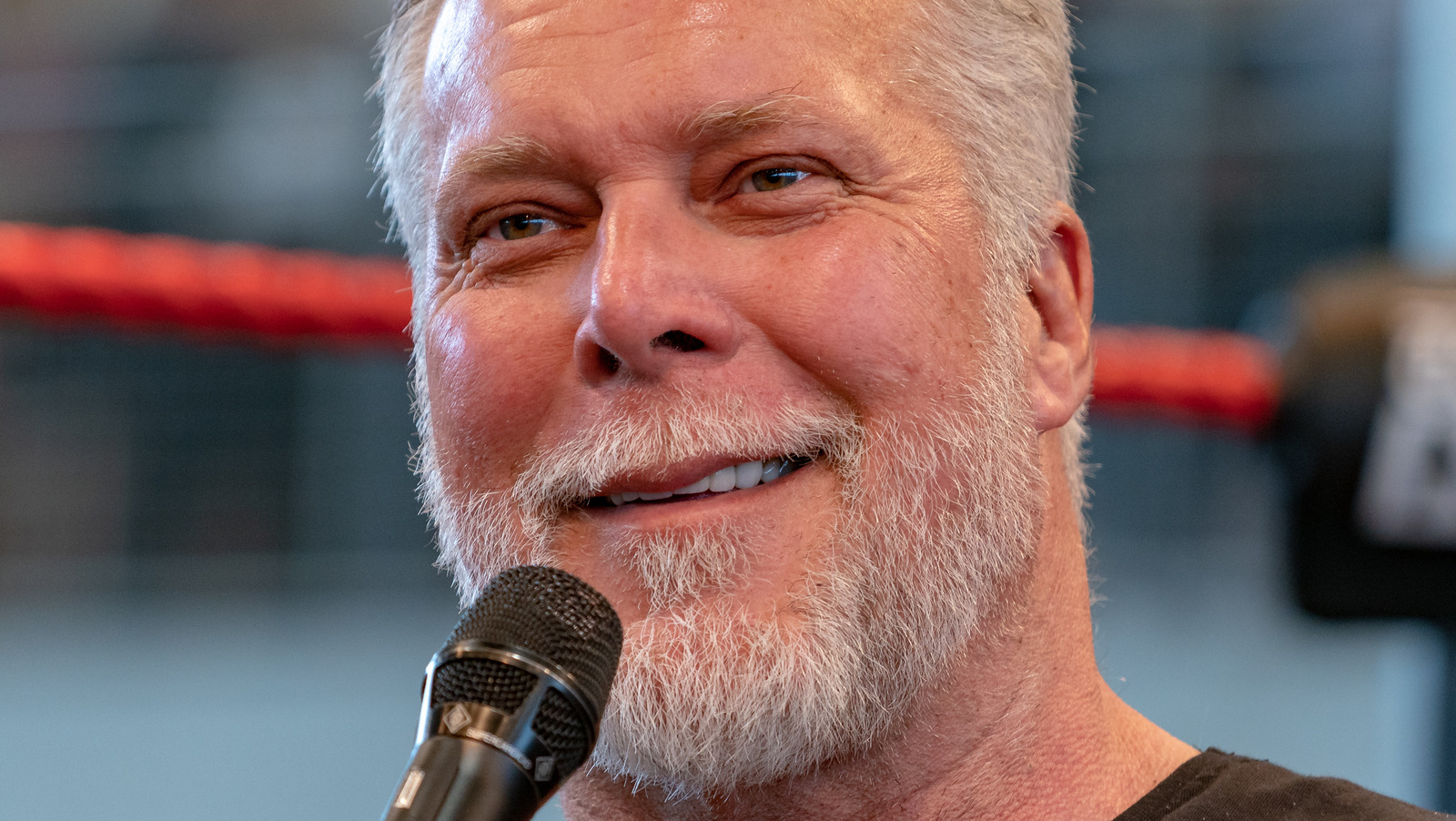 Kevin Nash Says He Would Have Done The Job For Steve Austin At WWE ...