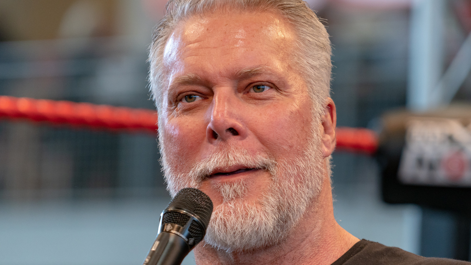 Kevin Nash's Short-Lived Wizard Of Oz Gimmick Explained