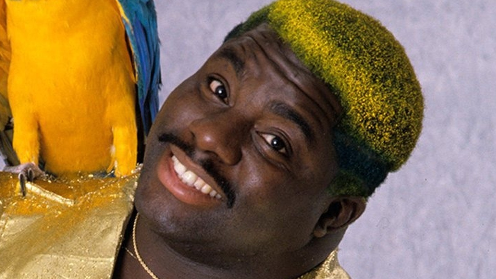 Koko B. Ware Was The First Recipient Of The Undertaker's Tombstone, And ...