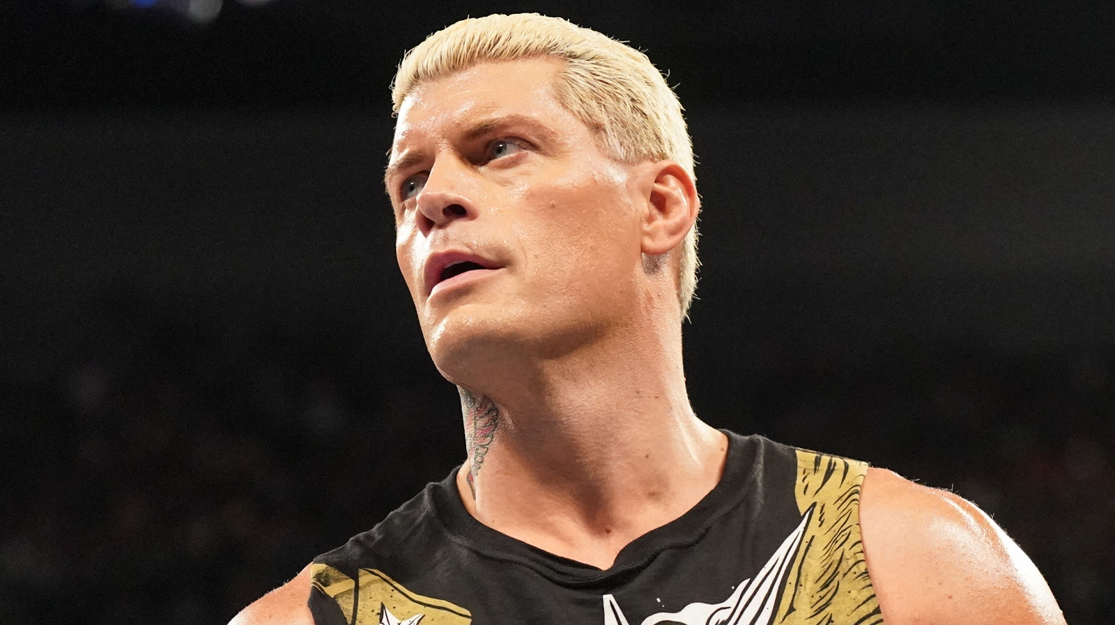Lee Johnson Recalls Backstage Reaction To Cody Rhodes' AEW Exit