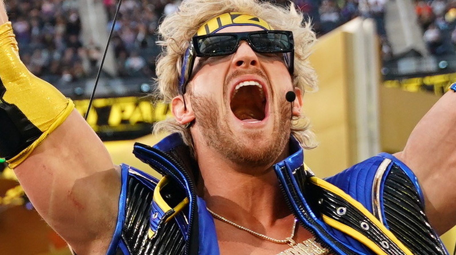 Logan Paul Had Impossible Goal Of Being WWE, UFC, And Boxing Champion