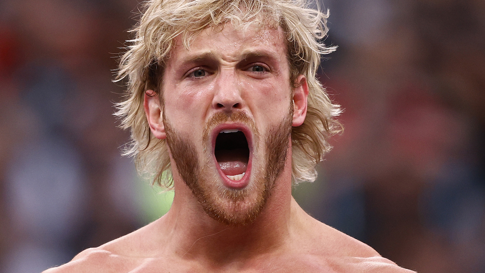 Paul Re's Instagram, Twitter & Facebook on IDCrawl