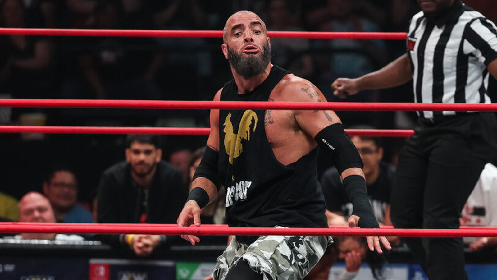 Mark Briscoe Pulled From ROH World Title Match At Death Before Dishonor