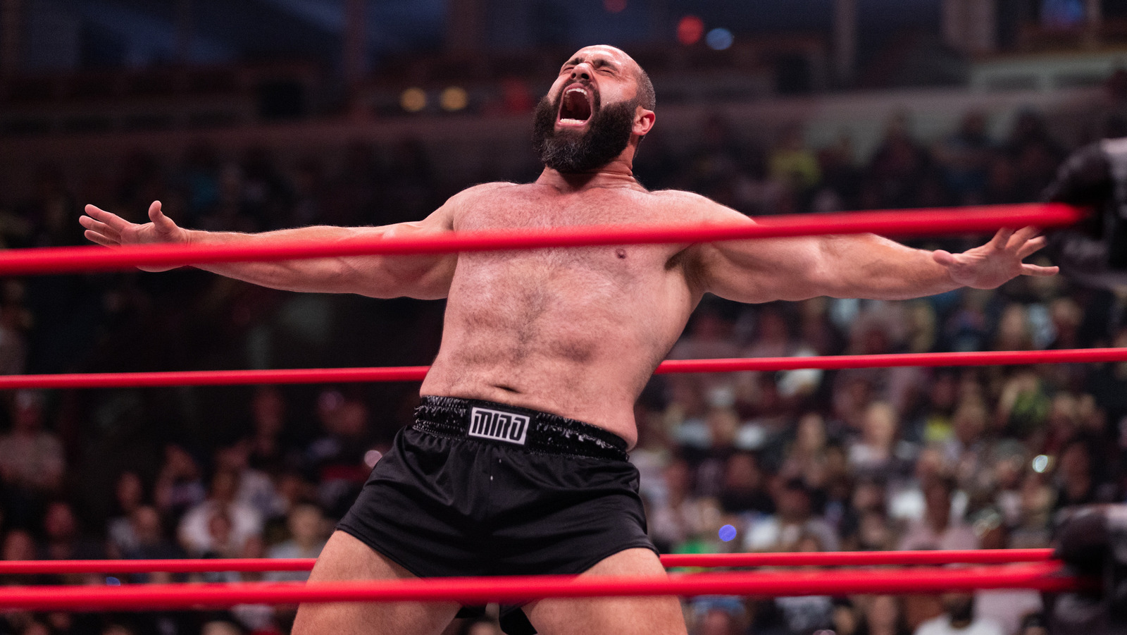 Miro Claims He Has No Pull In AEW, Who He Works With Is Up To Tony Khan