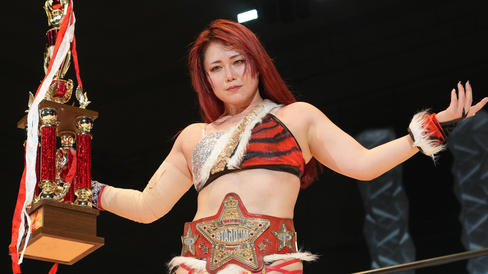 NJPW Announces Full Acquisition Of Joshi Promotion World Wonder Ring STARDOM